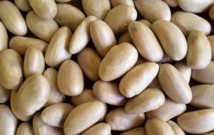 Fried Beetles - Crispy deep-fried jackfruit seeds (Vegan + Gluten Free ...