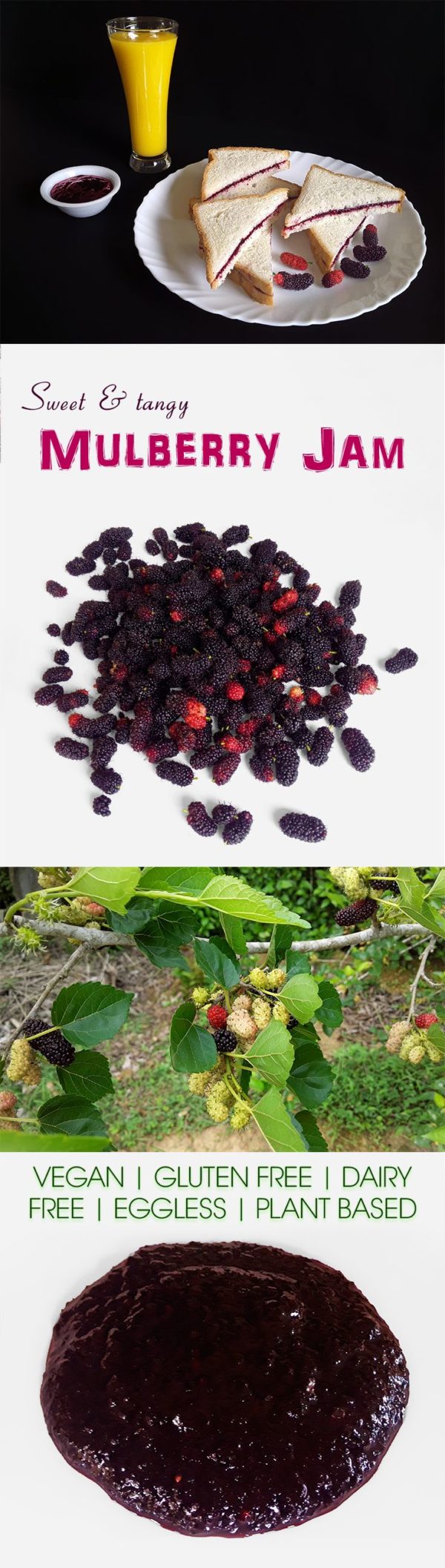 Mulberry Jam (Vegan + Gluten Free) - Kitchen Archives